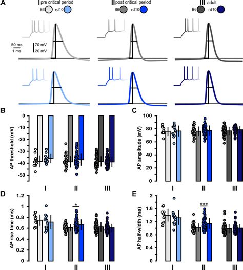 Figure 3 From Electrophysiological Properties Of Layer 23 Pyramidal Neurons In The Primary