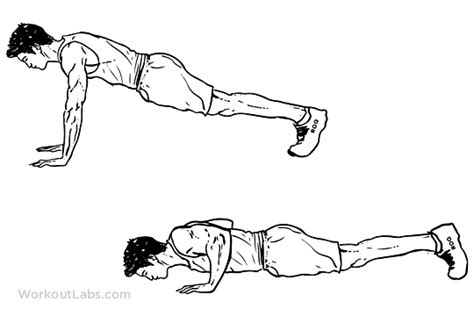 Push Up Illustrated Exercise Guide Workoutlabs