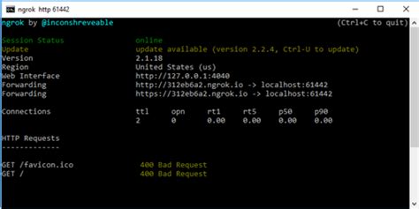 Dev Tools Ngrok Gt4 Design Web
