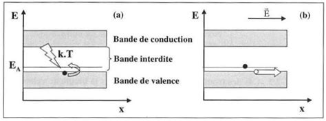 Schematics Of The Extrinsic Behaviour For N Doping Top And P Doping Download Scientific