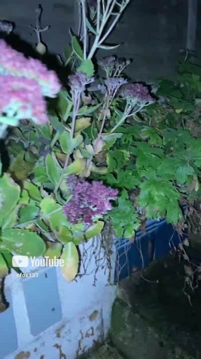 Certifix Ltd On Linkedin Constructionsolutions Buildingconfidence Certifix Problemsolvers…