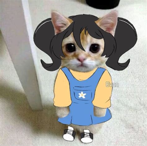 038 Cassidy Fnaf Fnaf Funny Fnaf Characters Fnaf Memes