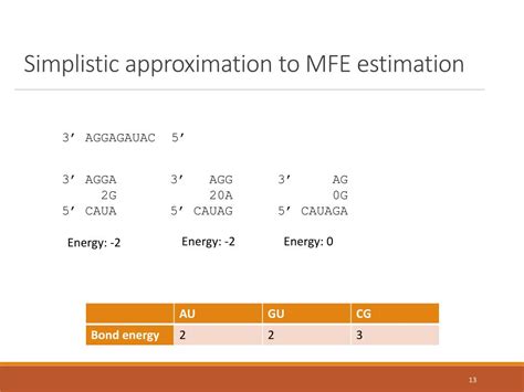 Ppt Mrna Secondary Structure Optimization Using A Correlated Stem Loop Prediction Powerpoint