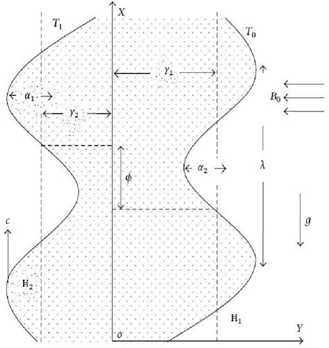 Diagrammatic Depiction Of The Physical Model Download Scientific Diagram