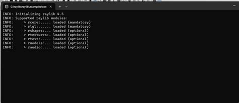 can t run program r raylib