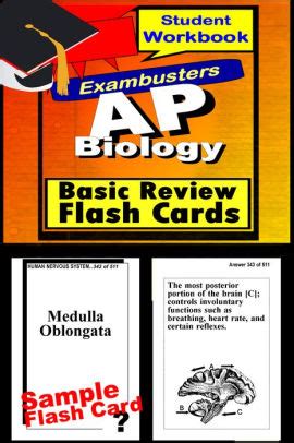 AP Biology Study Guide AP Science Flashcards AP Prep Workbook By AP Prep Ace Academics NOOK