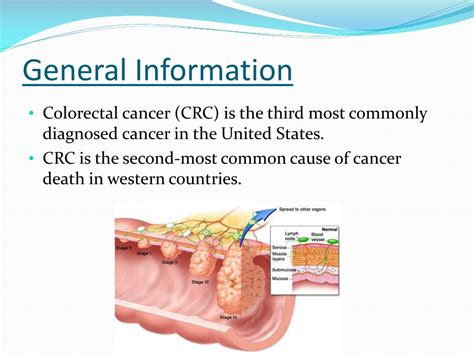 Ppt Surgical Approach To Liver Metastases From Colorectal Cancer Powerpoint Presentation Id