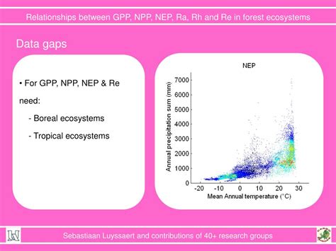 Ppt Relationships Between Gpp Npp Nep Ra Rh And Re In Forest
