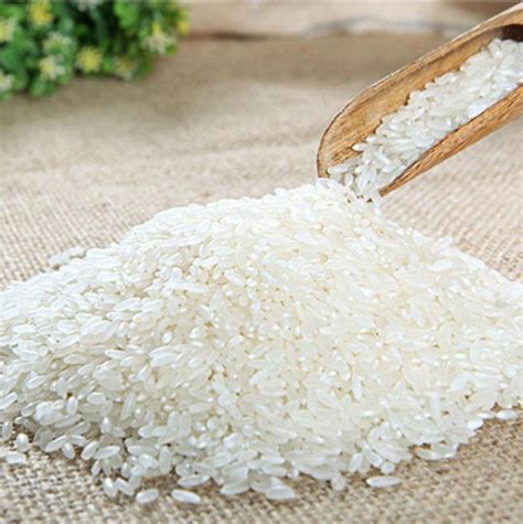 绿色食品供应链20