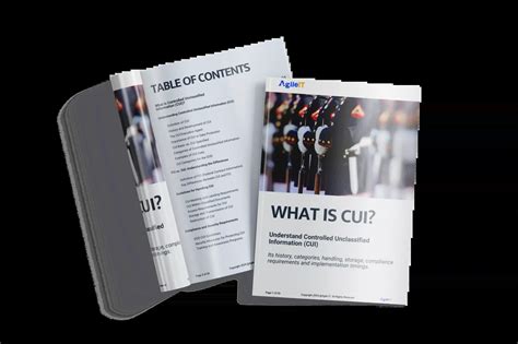 Marking Controlled Unclassified Information In Microsoft Agile IT