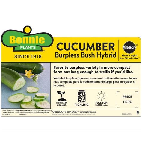 Cucumber Plant Vegetable Plants The Home Depot