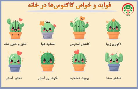 هشت مورد شگفت انگیز از فواید و خواص کاکتوس در خانه