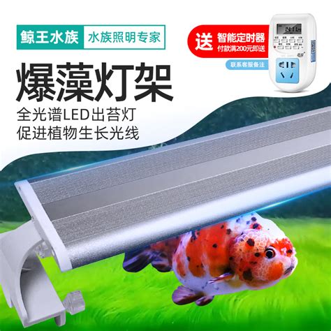 暴爆藻灯架出苔支架灯架兰寿金鱼专用鱼缸灯led全光谱超亮水草灯虎窝淘
