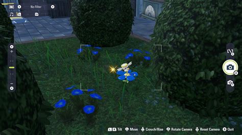 All Flabebe Color Locations In Pokémon Legends Z A