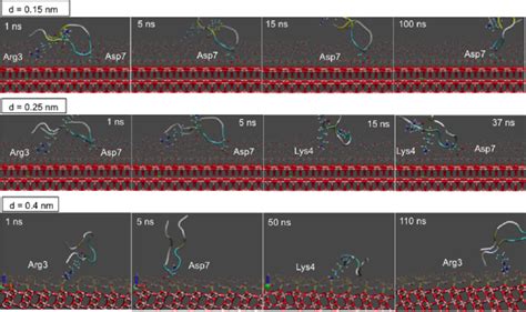 Simulation Snapshots Taken At Selected Times Of The D T 0 0 15 Nm Download Scientific