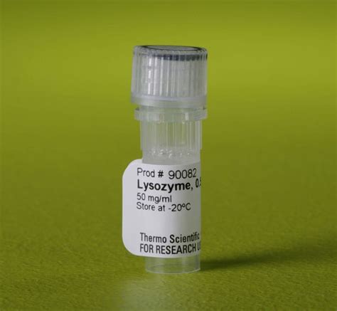 Lysozyme