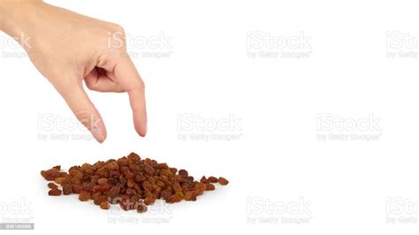 흰색 배경 건강 한 달콤한 간식에 고립 된 손에 맛 있는 하 고 건강 한 건포도 공간 복사 템플릿 갈색에 대한 스톡 사진 및 기타 이미지 Istock