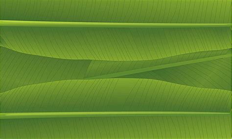 ภาพtree Texture Png รูป เวกเตอร์และไฟล์ Psd ดาวน์โหลดฟรีบน Pngtree