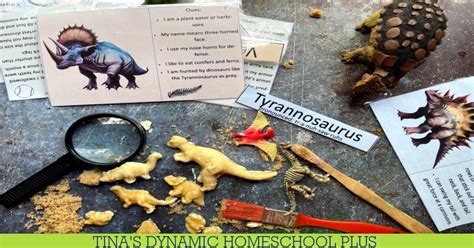 Make Fun Edible Fossils And Free Magic School Bus Fossils Worksheet