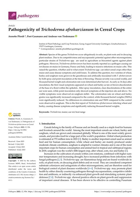 Pdf Pathogenicity Of Trichoderma Afroharzianum In Cereal Crops