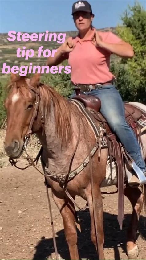 Steering Tip For Beginners Horseback Riding Tips Horseback Riding