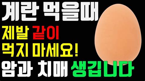 계란 제발 그냥 먹지마세요 계란과 최악의 궁함 Top3 최고의 궁합 Top3 알려드릴께요 Youtube