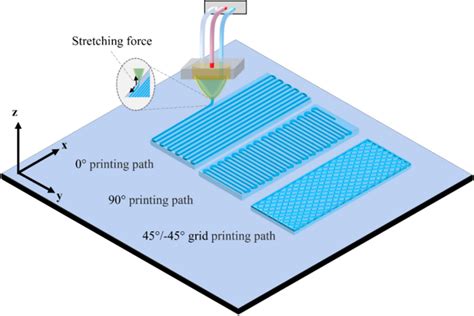Schematic Diagram Of The Printing Path For Homogeneous Laminated