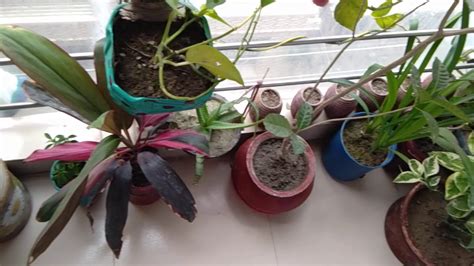 Belkuni Garden Very Enjoying Youtube