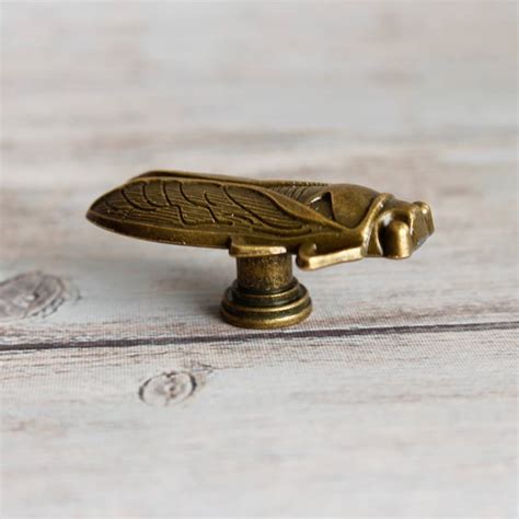 Insect Drawer Knobs In Brass Cicada Cabinet Knobs Insect Etsy