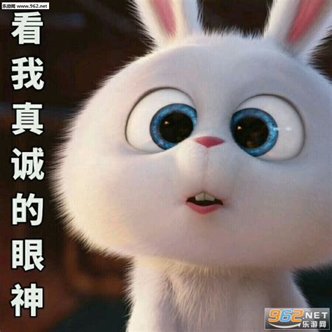 求知道图片大全 我想知道的图片 求告知图片大全 大山谷图库