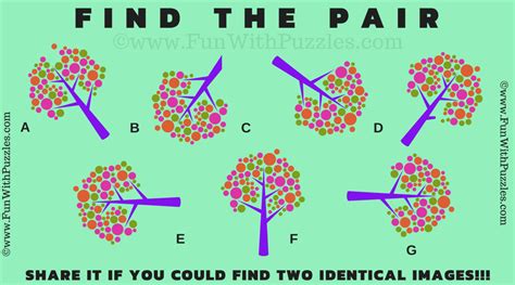 Test Your Brain Picture Puzzle With An Answer Fun With Puzzles