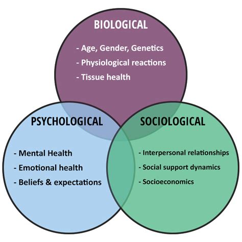 Bps Model Working To Wellbeing