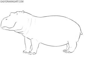 How To Draw A Hippopotamus Easy Drawing Art