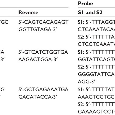 The Primers And Probes Used In Genotyping Download Table