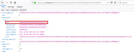 Whatsapp Chat Interface With Sap Open Connectors Sap Community