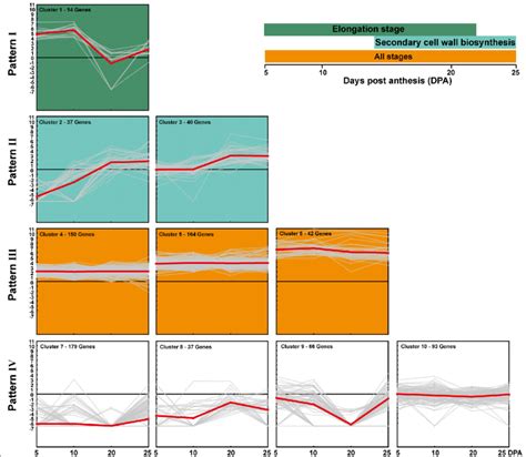Expression Profiles Of These Genes In The Qtl Regions Cluster Analysis