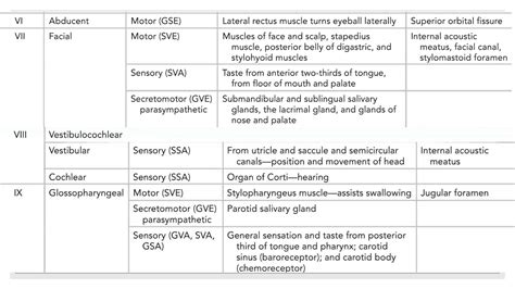 Cranial Nerves Neuro Anatomy And Clinical Correlations PPT