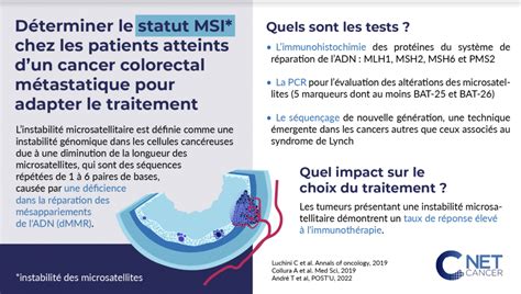 Limmunothérapie Dans Le Traitement Du Cancer Colorectal Netcancer