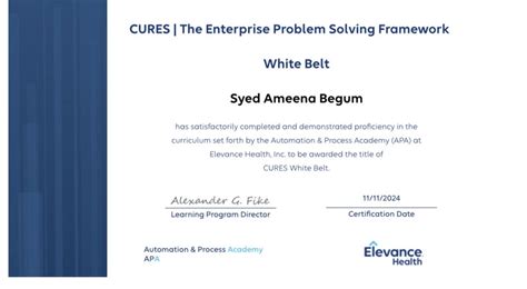 Ameena Begum Syed On Linkedin Problemsolving Processimprovement Continuouslearning