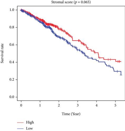 Estimate Scores In Clinical Stages And Survival Curves A Comparison Download Scientific