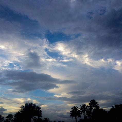 عزاء الحارثي Azzaalharthi Twitter