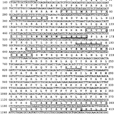 Schematic Reversed Phase Hplc Method Principle Download Scientific Diagram
