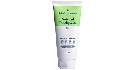 Buy Ftn Mint Toothpaste With Fluoride Online Faithful To Nature