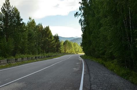 잎이 없는 나무가 늘어선 경치 좋은 시골 길 · 무료 스톡 사진