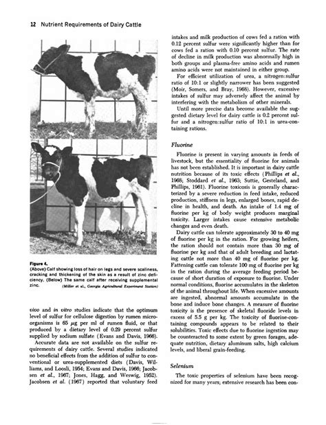 Nutrient Requirements And Symptoms Of Deficiency Nutrient
