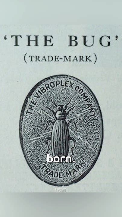 The First Computer Bug 🐞 Youtube