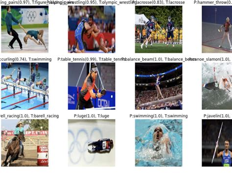 Dl Solutions Image Classification Segmentation And Object Detection