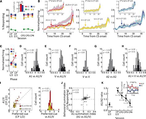 Pdf Neural Estimates Of Imagined Outcomes In The Orbitofrontal Cortex Drive Behavior And