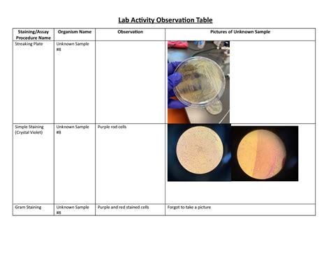 Lab Activity Observation Table Lab Activity Observation Table Staining Assay Procedure Name