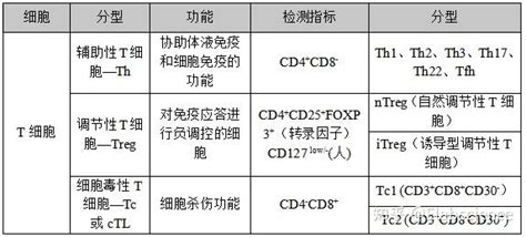 流式课堂 T 细胞及其流式 知乎
